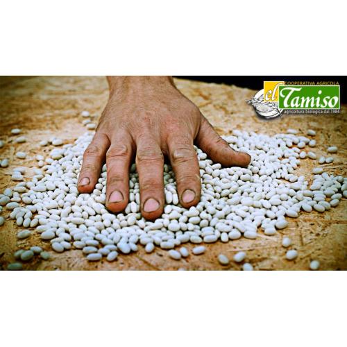 Cooperativa Agricola El Tamiso - Collaborazione El Tamiso-Goodland ...