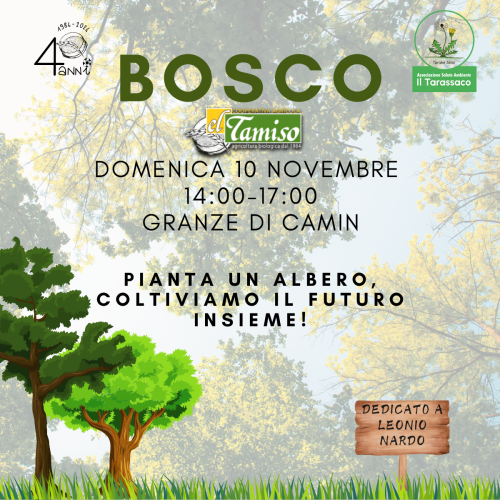 Cooperativa Agricola El Tamiso - IL BOSCO DE "EL TAMISO"